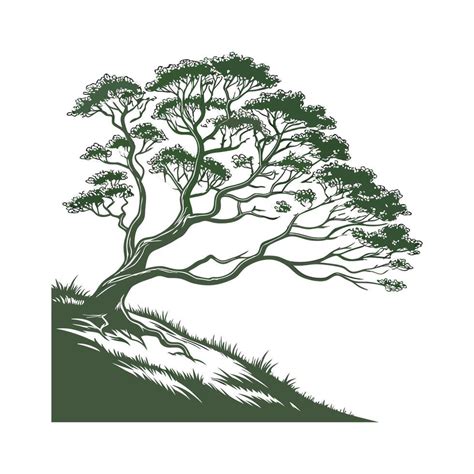 Vibrant Cypress Plant Display 57484263 Vector Art At Vecteezy