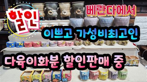 9월 24일 이쁘고 가성비최고 할인판매 Youtube