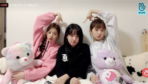 딸기초콜릿생크림 연예인잡담 에펨코리아