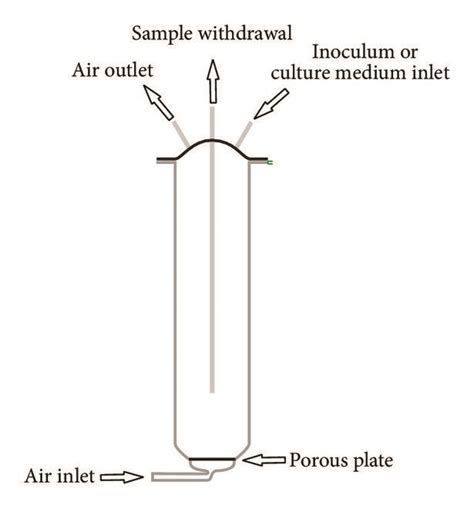 Design Of L Bubble Column Reactor BCR For SFm And SSSF A Download Scientific Diagram