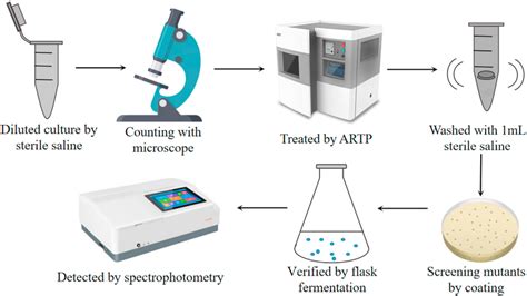 Artp Operational Procedures For The Mutation And Selection Of The