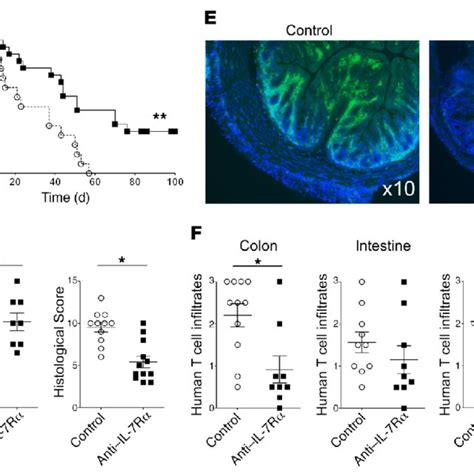 Characterization Of Cd127 Expression Among Uc Lamina Propria Cells A Download Scientific