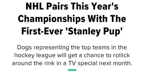 Adorable Album On Imgur