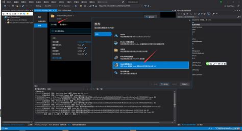 使用vs2019自带web部署功能远程发布更新iisvs2019 发布 证书 Csdn博客