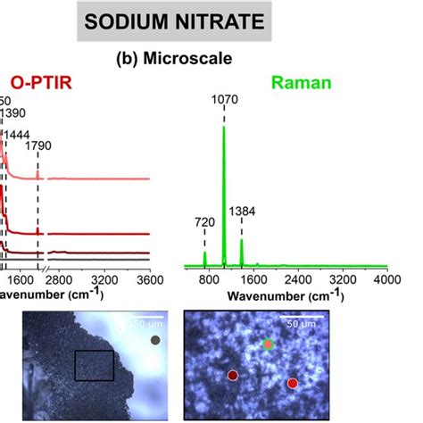 Comparison Of A Macroscale B Microscale And C Nanoscale
