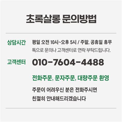 황칠나무 키우기 쉬운 인테리어 공기정화 거실 중형 식물 화분 개업식 집들이 축하 선물 초록살롱