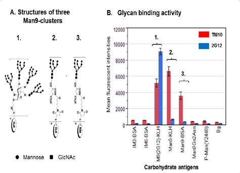 Carbohydrate Microarrays Identify Tumor Associated Oligomannosyl Download Scientific Diagram