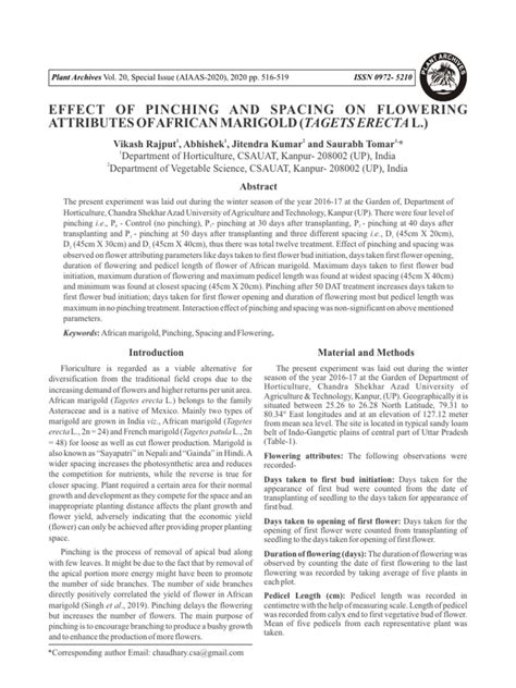 Effect Of Pinching And Spacing On Flower Pdf Plants Botany