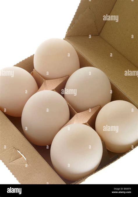 Carton Egg Whites Fitday