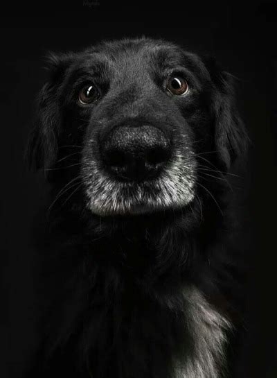 Elke Vogelsang Photography Tumbex