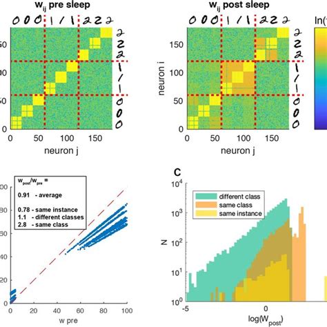 So Effects On Connectivity Structure A Synaptic Weights Matrix Of Download Scientific