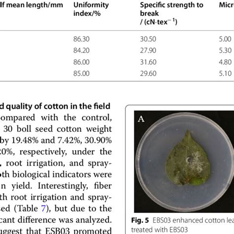 Effects Of Different Treatments Of Ebs03 On Cotton Fiber Quality