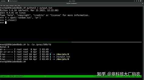 从 0 到 1 理解 Linux 进程和文件描述符 知乎