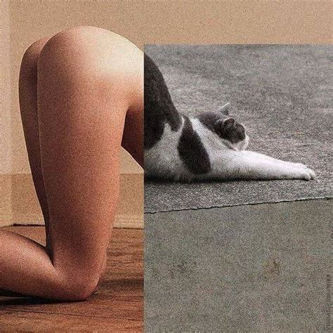 Tumblr Pscdf If M Vn Bfv