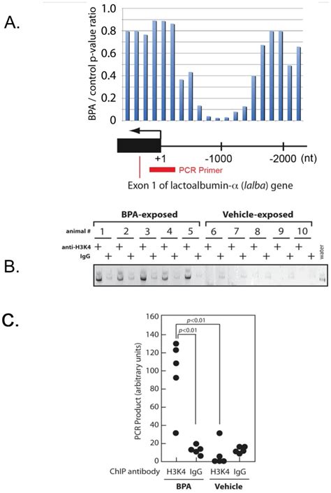 Anti Histone H3k4me3 Pab Active Motif Bioz