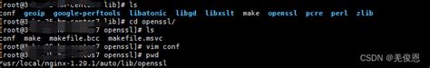 nginx 安全漏洞（cve 2022 3638）处理 csdn博客