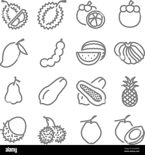 asia thai fruits related vector line icons contains such icons as durian papaya watermelon