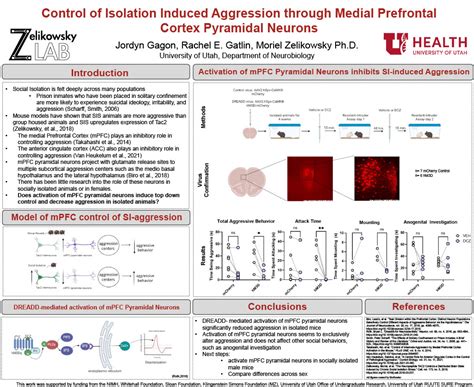 Control Of Isolation Induced Aggression Through Activation Of Medial Prefrontal Cortex Pyramidal