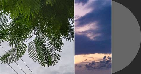 List Software Analysis And Design Curated By Ael Medium