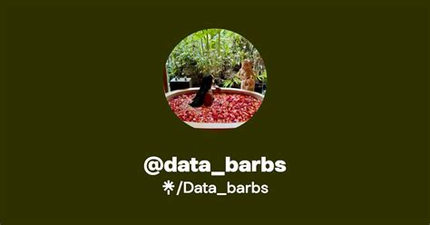 Databarbs Instagram Tiktok Linktree
