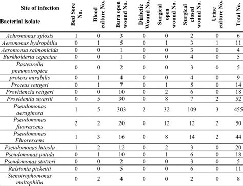 Bacterial Identification In Relation To Site Of Infection P Download Scientific Diagram