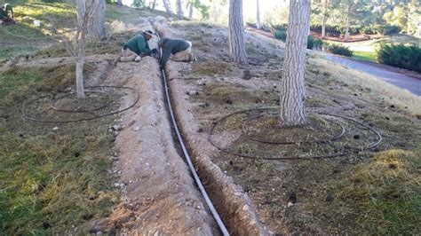 Installing Drip Irrigation For Trees At Blanca Wilkerson Blog