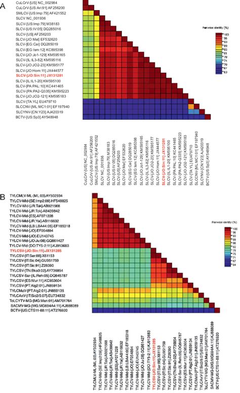 Colour Online Colour Coded Pairwise Identity Matrix Generated From Download Scientific