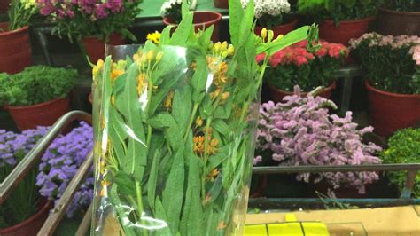 인터넷꽃도매시장 투베로사꽃 인터넷화훼공판장 생화 꽃도매 김해꽃 부산꽃 양재꽃시장 꽃시장 꽃쇼핑몰 Youtube