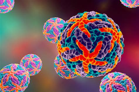 Med Journal 360 Evidence Of Cross Reactivity Between Zika And Dengue Virus