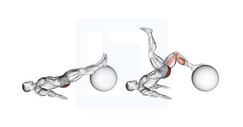 Exercise Ball One Legged Diagonal Kick Hamstring Curl Guide Benefits