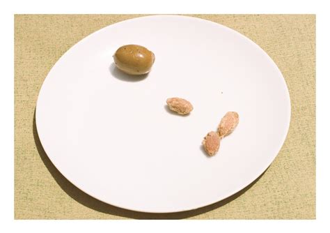 Polly Brown Presents A Photo Study On Sex Another