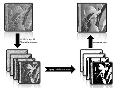 Mbcca Model For Salt And Pepper Noise Removal Download Scientific Diagram