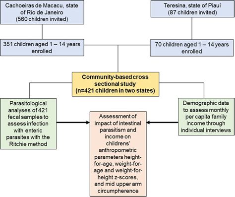 Descriptive Flowchart Of The General Lines Of The Study Download