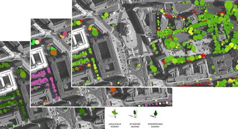 creating the regional tree crown map using lidar data and fme