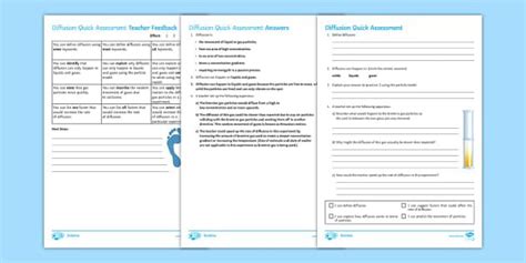 Diffusion Quick Assessment Worksheet In 2024 Matter Lessons Maths A