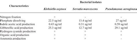 Plant Growth Promoting Activities Of Bacterial Isolates Download Scientific Diagram