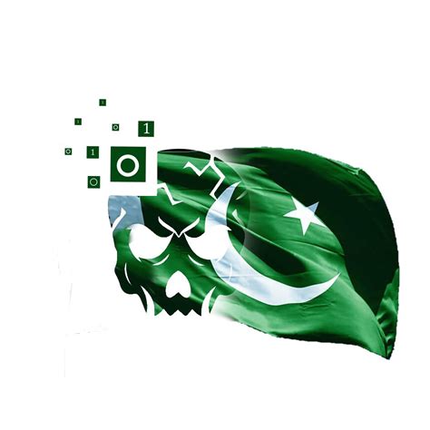 Coding Skull Posted On Linkedin