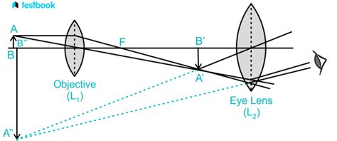 Compound Microscope Definition Diagram Parts Working Principle Uses