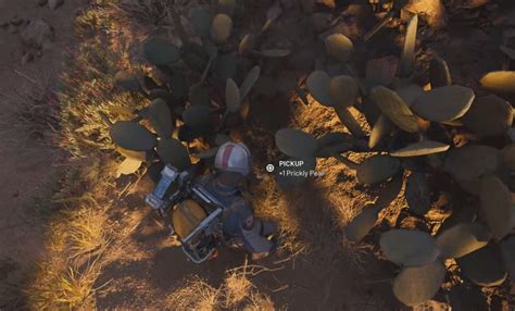 Where To Find Prickly Pear And Olive In Arc Raiders