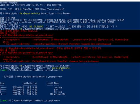 윈도우 Python Venv 사용