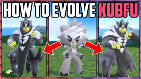 How to Evolve Kubfu Pokémon Scarlet Violet YouTube