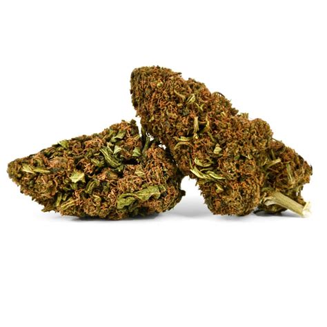 Ak 47 Cbd Natural Suit