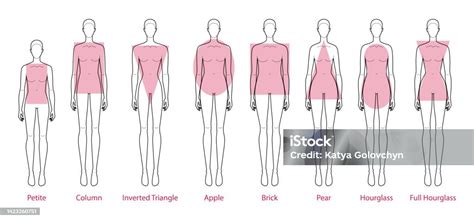 여성 몸 모양 유형 세트 사과 배 기둥 벽돌 모래 시계 거꾸로 된 삼각형 작은 것 여성 벡터 일러스트 실루엣 9 헤드 사이즈 레이디 피겨 정면보기 벡터 윤곽선 스케치 소녀