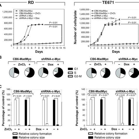 C Myc Physically Interacts With Hif 1a C Myc Complexes Were Download Scientific Diagram