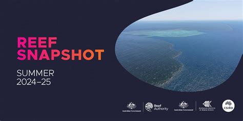 Reef Snapshot Summer 2024 2025 Released Reef Authority