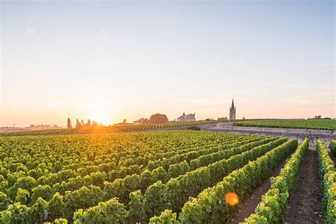 Bordeaux 2023 Lobenbergs