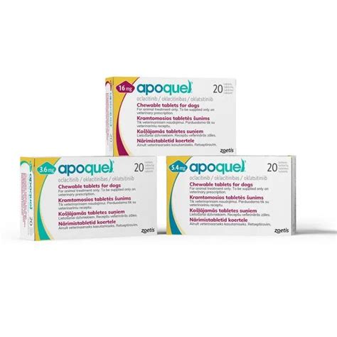 Apoquel Chewable Tablets Individual Tablets Joii Pet Shop
