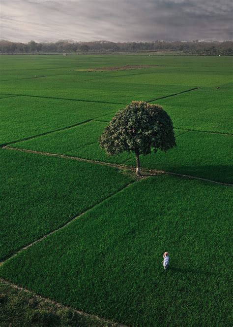 Raghda Massoud On Tumblr