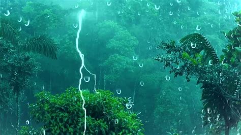 양철 지붕 위의 폭우와 천둥과 함께 즉시 잠들기 3분 만에 불면증이여 안녕 Youtube