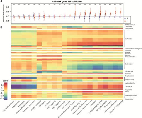 Integration Of Metagenomic Sequencing And Transcriptional Profiling